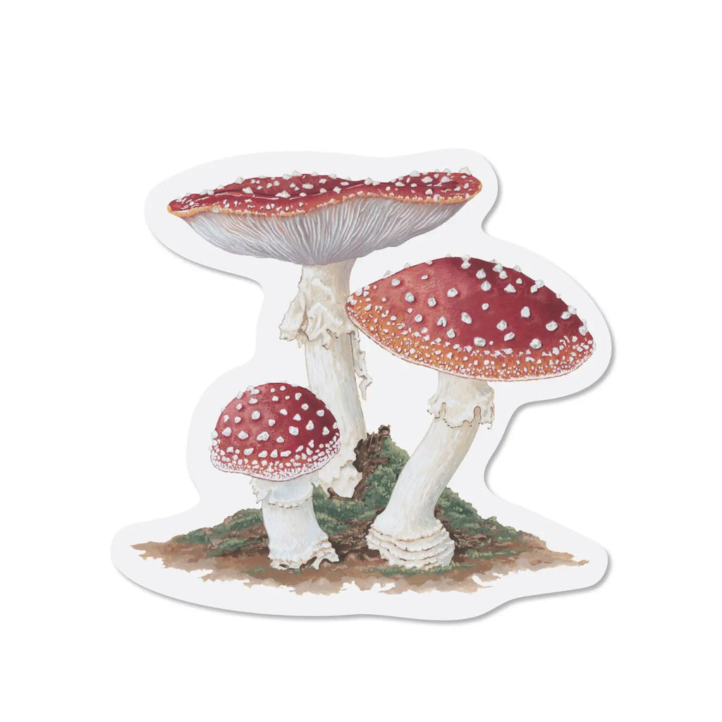 Amanita Muscaria Sticker – The Future Mpls